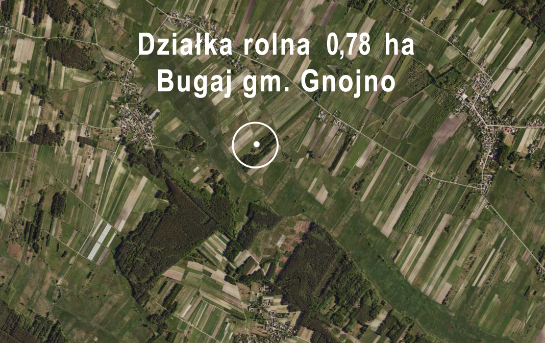 Działka rolna Bugaj gm.Gnojno – Konrad Gęca | Nieruchomosci Ponidzie